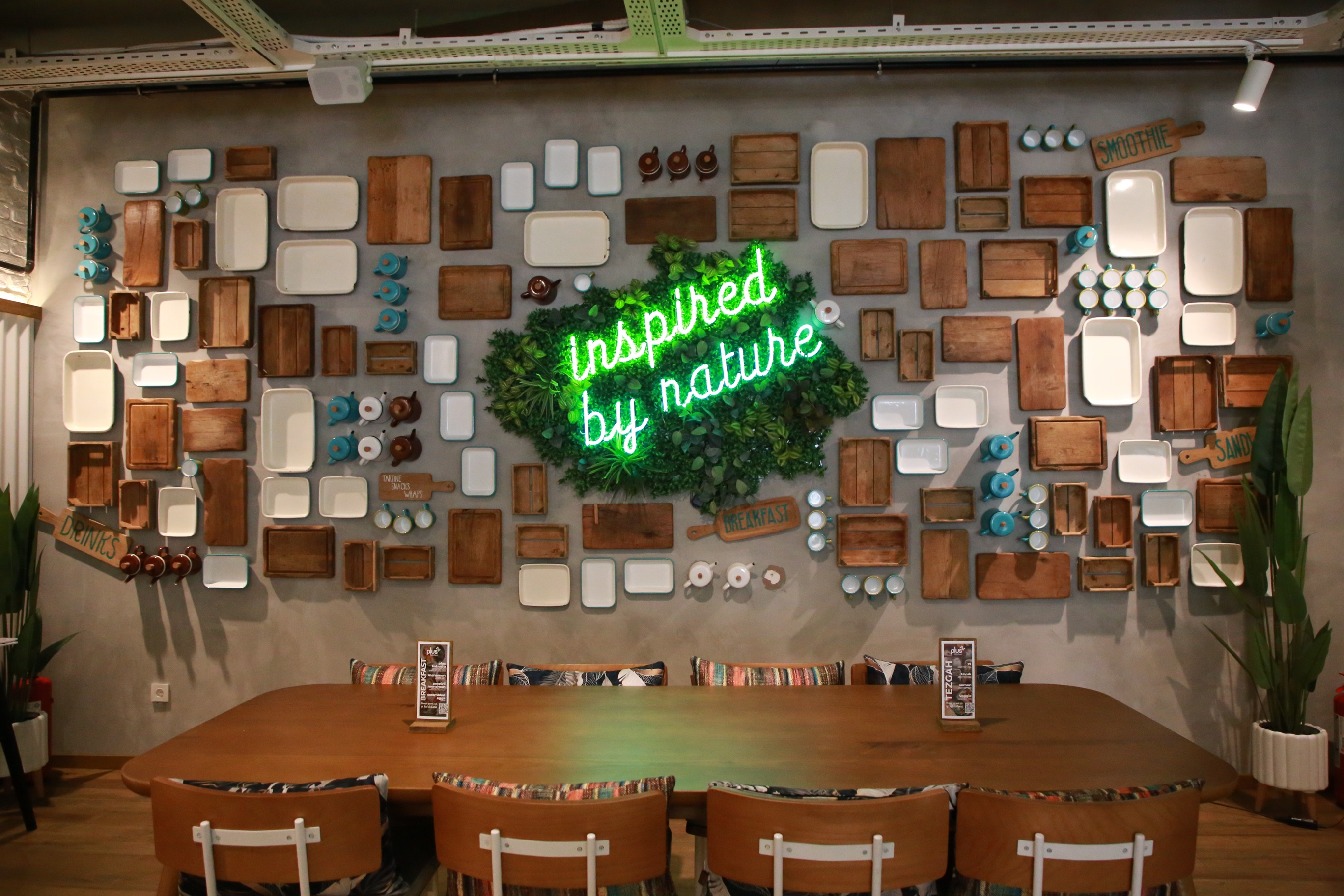 Plus Kitchen Franchise | Sağlıklı Kazançlı Bir Gelecek